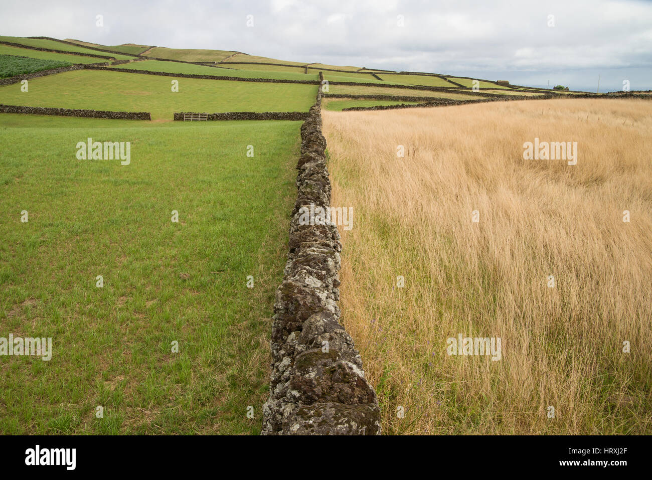 Beautiful volcanic landscape of Azores islands Stock Photo - Alamy