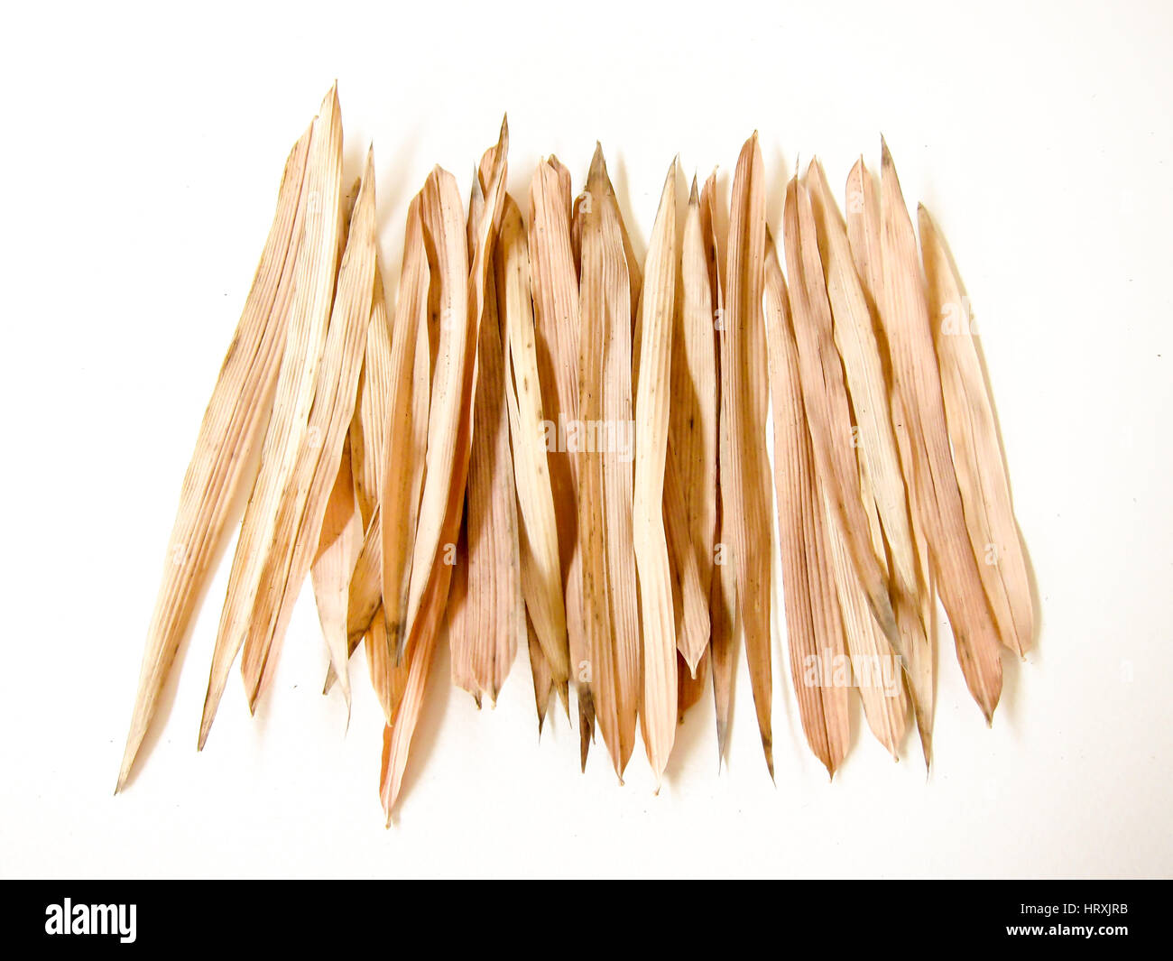 Group of bamboo hi-res stock photography and images - Alamy