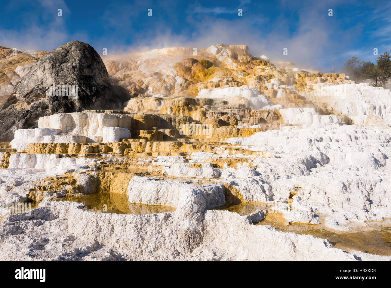 Mammoth hot springs travertine terraces in Yellowstone National Park ...