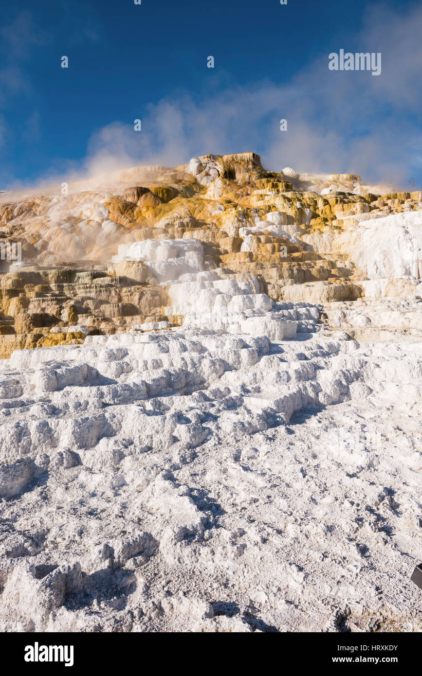 Mammoth hot springs travertine terraces in Yellowstone National Park ...