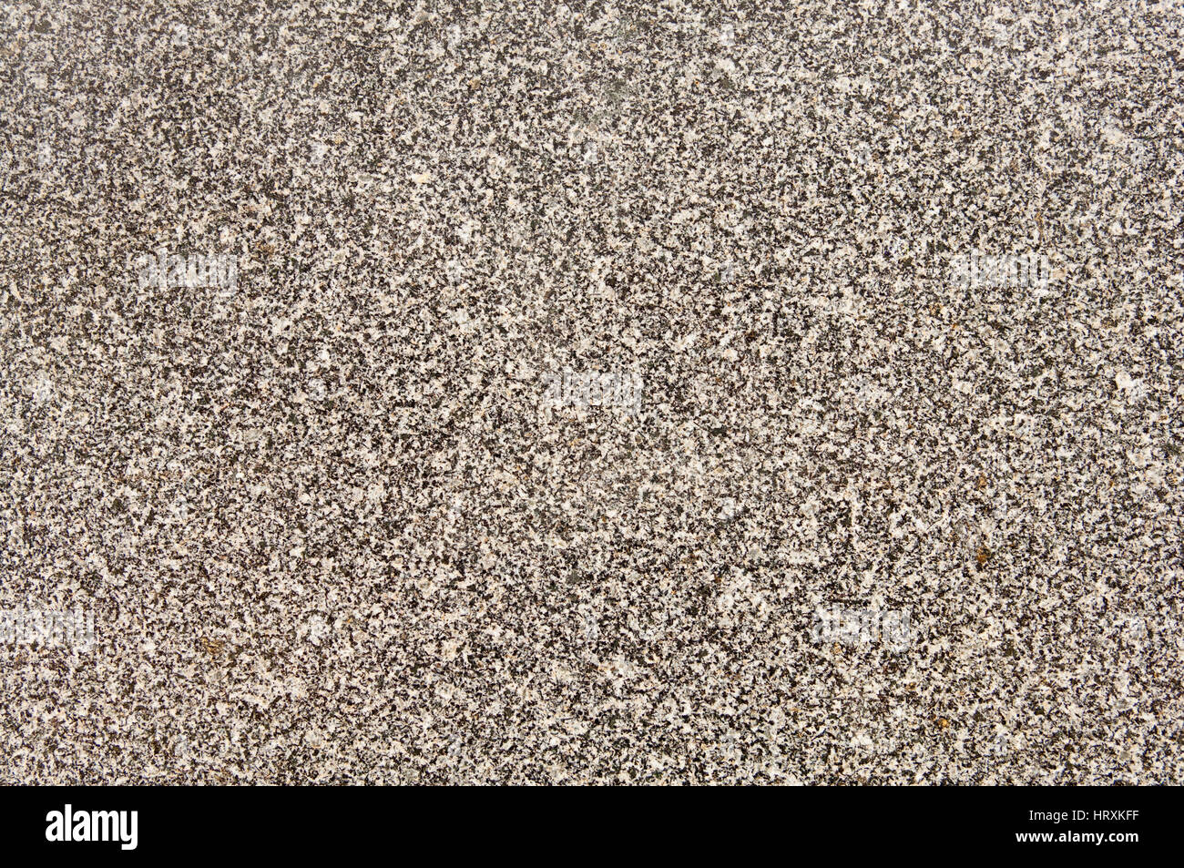 Polished magmatic or metamorphic rock cross section as background Stock ...