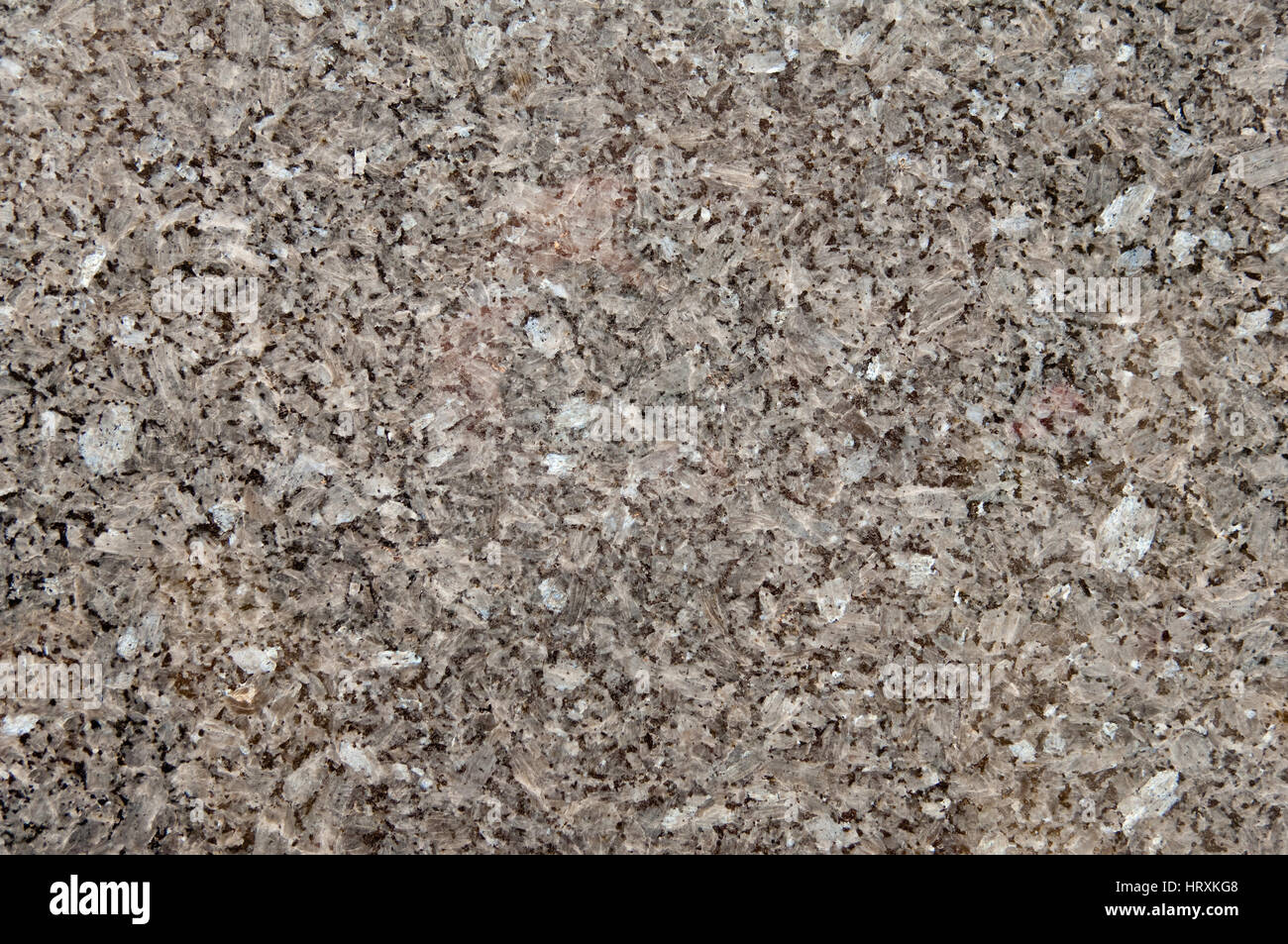 Polished magmatic or metamorphic rock cross section as background Stock ...