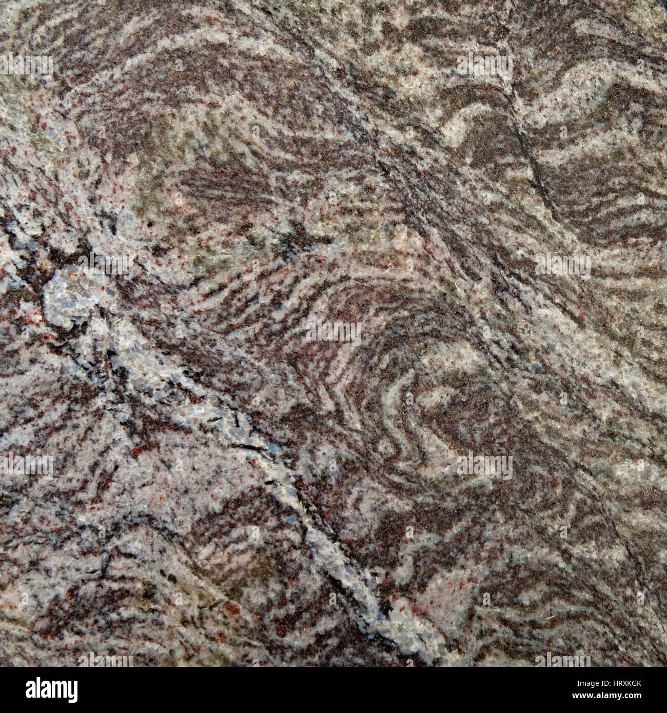 Polished magmatic or metamorphic rock cross section as background Stock ...