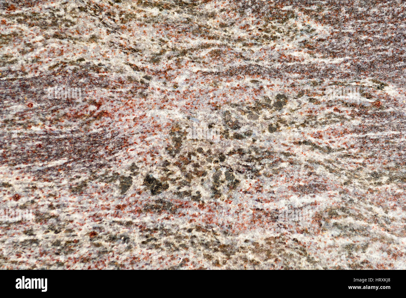Polished magmatic or metamorphic rock cross section as background Stock ...