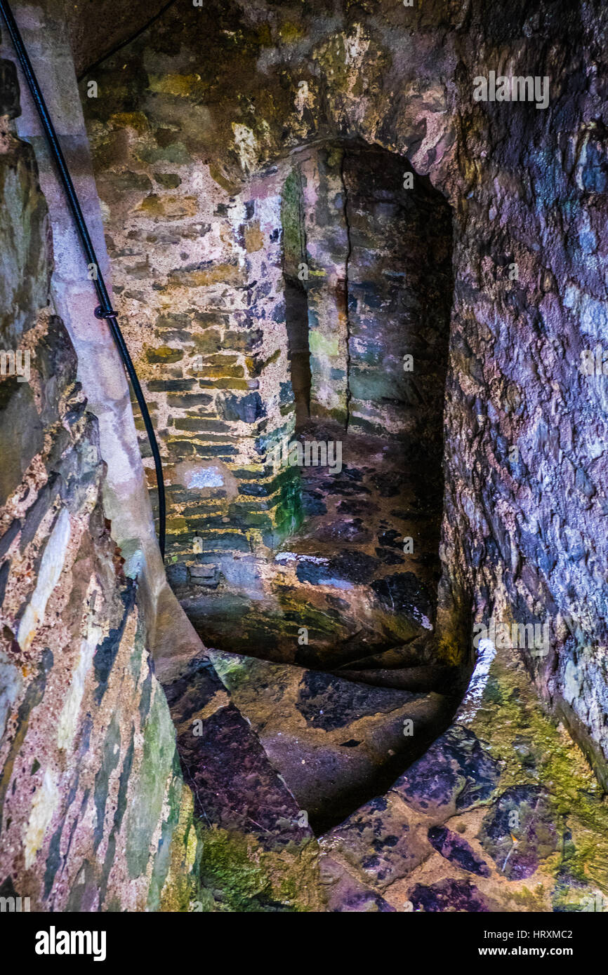 Medieval castle interiors hi-res stock photography and images - Alamy