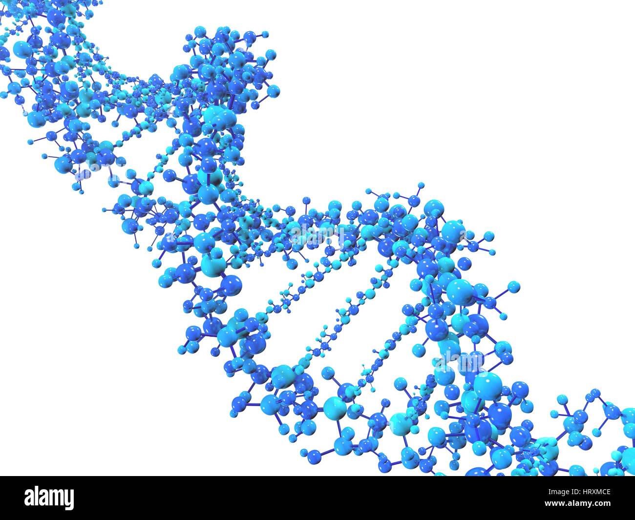Computer artwork of a DNA (Deoxyribonucleic acid) strand, made of ...