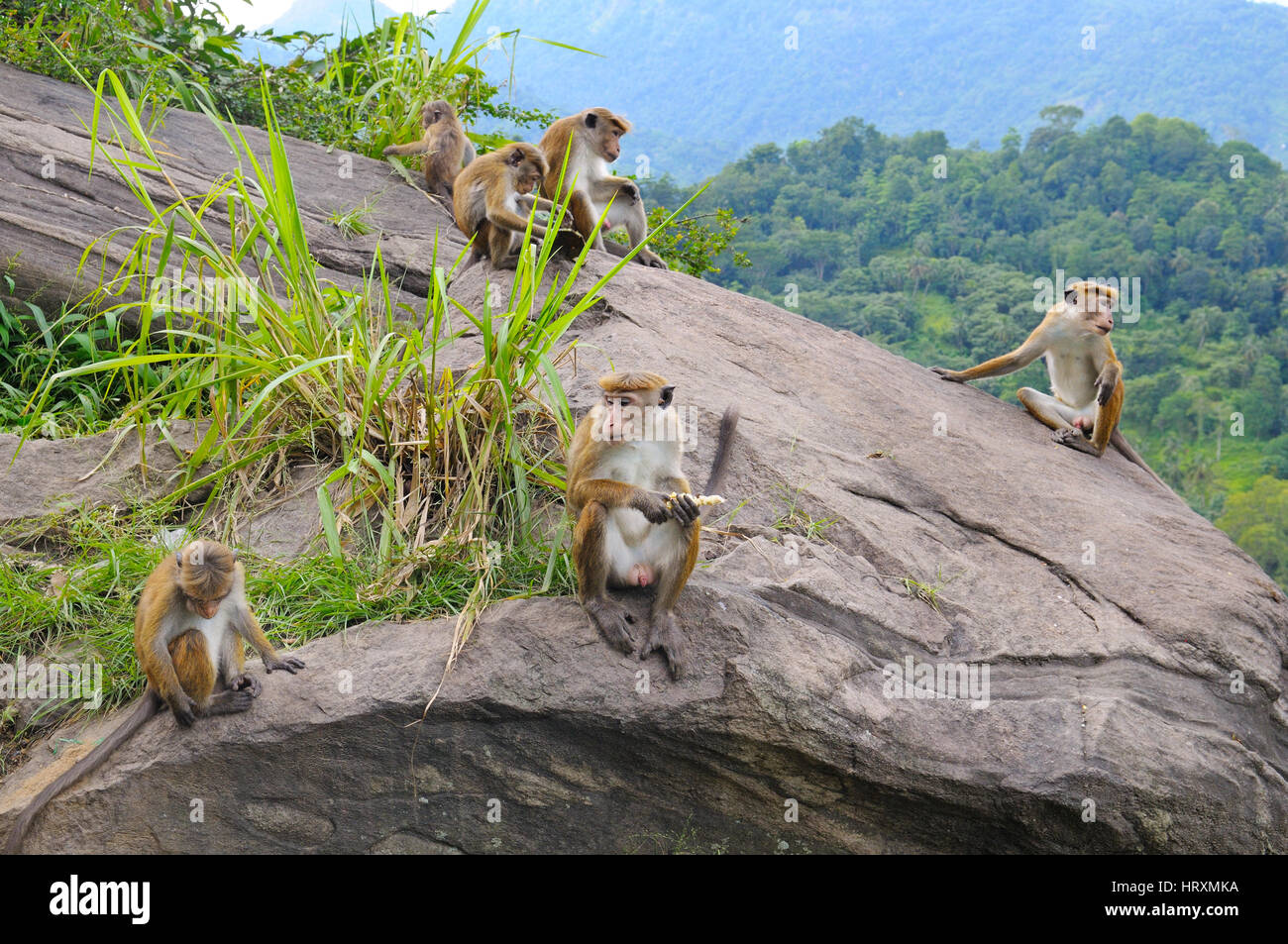 Child sitting on ledge hi-res stock photography and images - Alamy