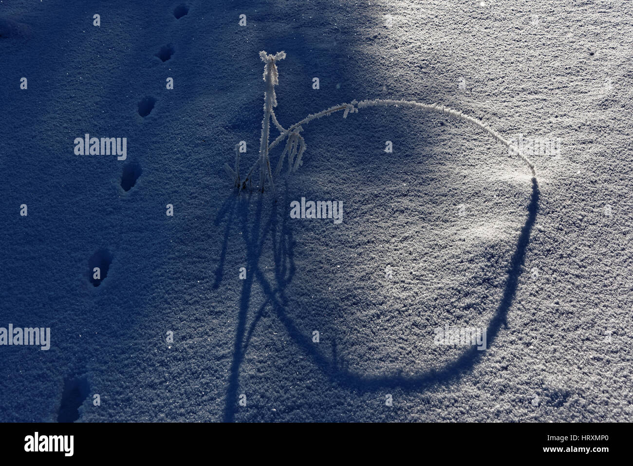 Tiny winter landscape with footsteps and shadows Stock Photo - Alamy