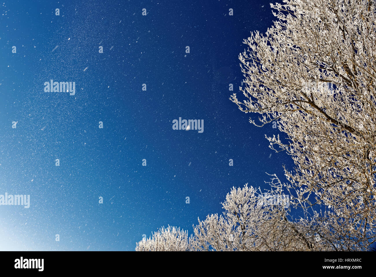 Winter sky, sun and snowfall Stock Photo - Alamy