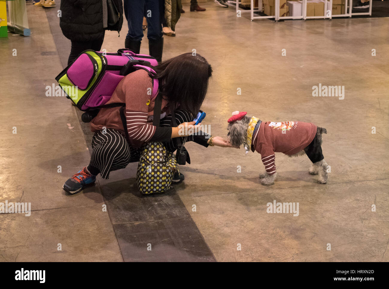 Dog eating from human hi-res stock photography and images - Alamy