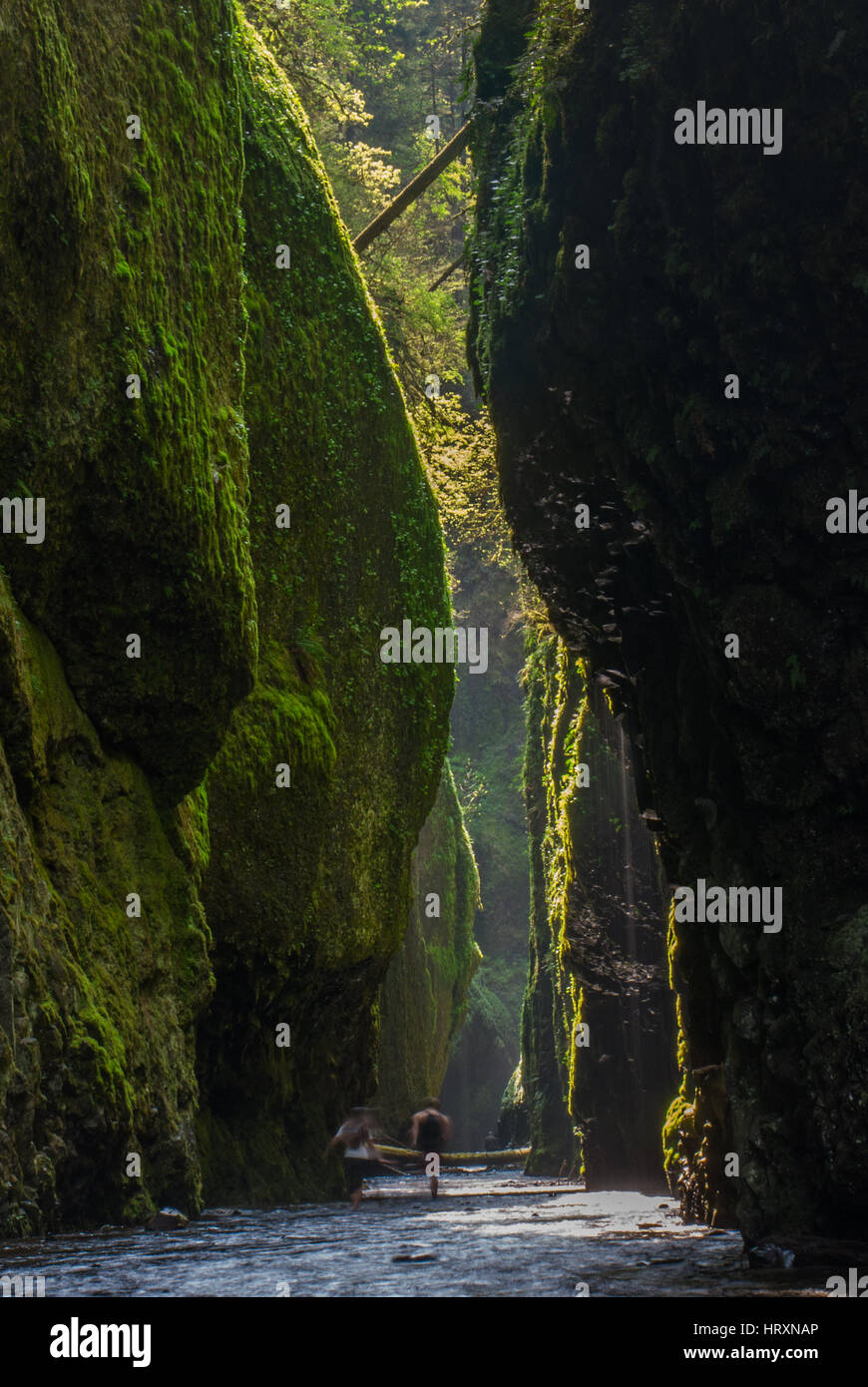 Oneonta Falls, one of the most beautiful Falls located in the Gorge ...