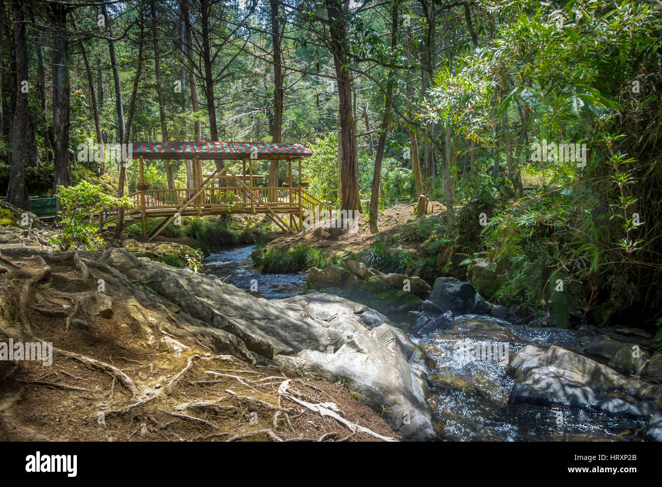 Small colorful covered wooden bridge - Parque Arvi, Medellin, Colombia ...