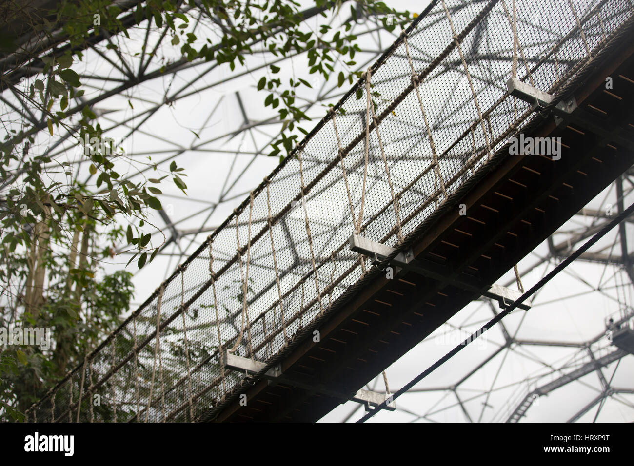 The biome structure, Eden Project Stock Photo - Alamy