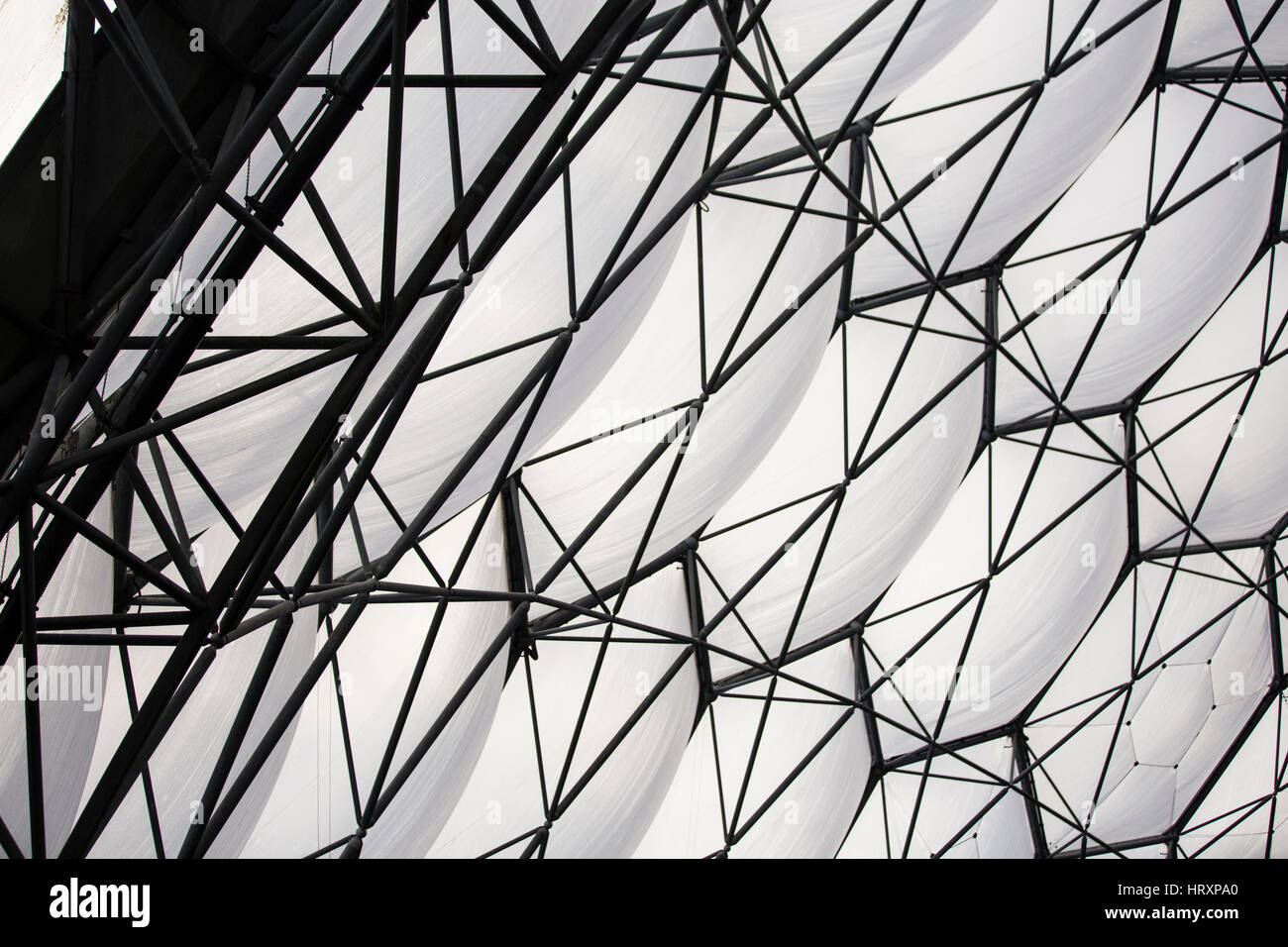 The biome structure, Eden Project Stock Photo - Alamy