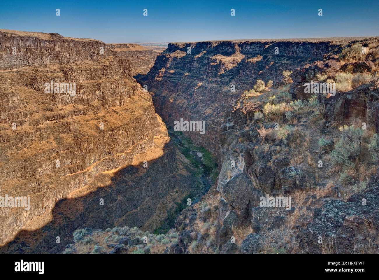 Bruneau River Canyon in High Desert region, Idaho, USA Stock Photo - Alamy