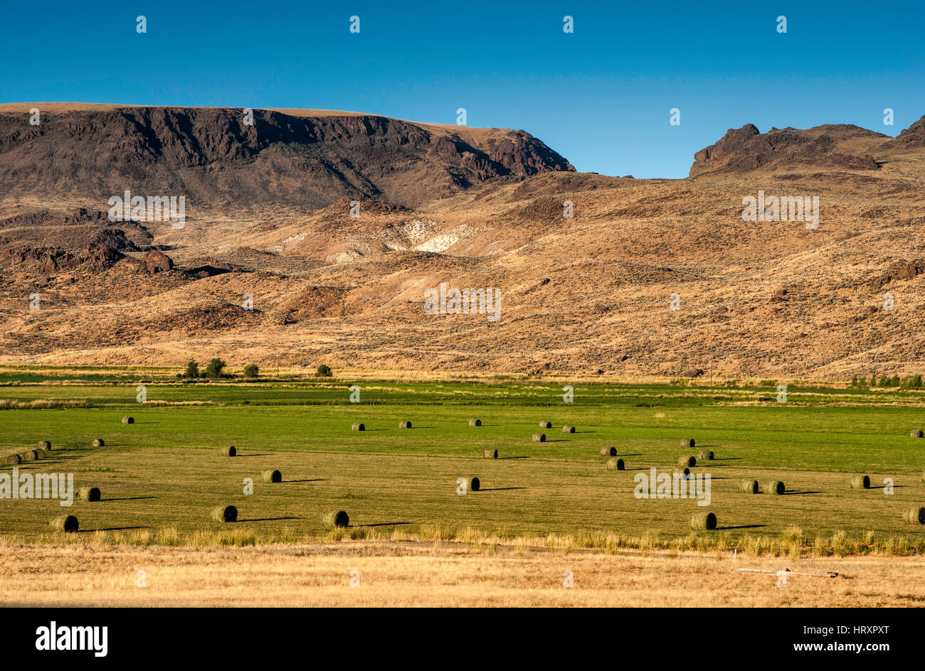 Irrigated fields at ranch in Succor Creek Valley, High Desert Region ...