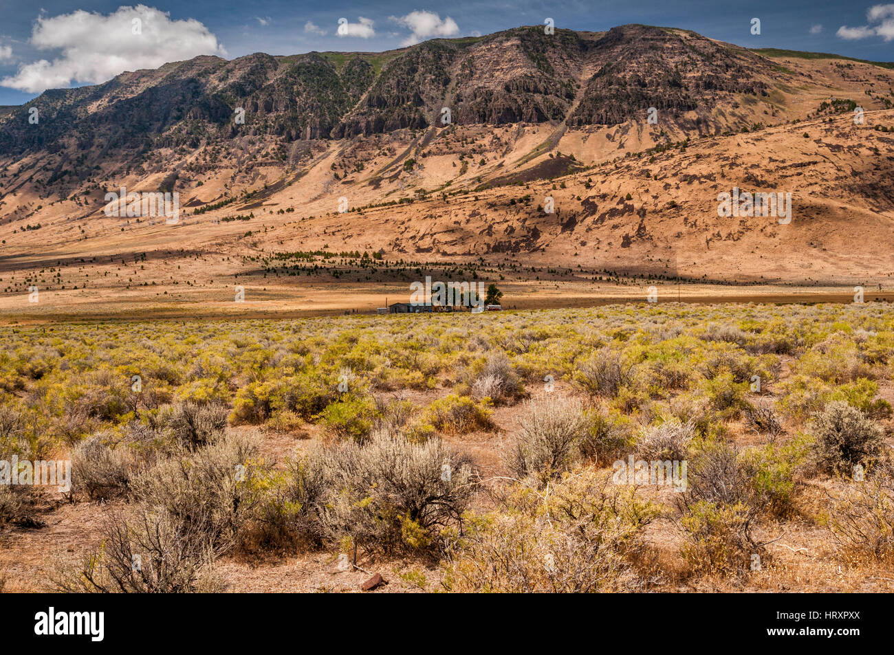 Lonely ranch in isolated area below Steens Mountain in Alvord Desert ...