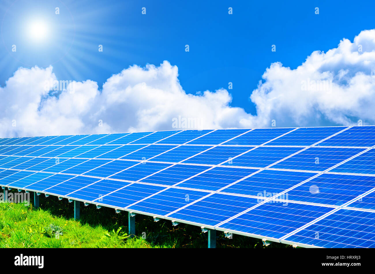 Solar panels on green grass and blue sky Stock Photo - Alamy