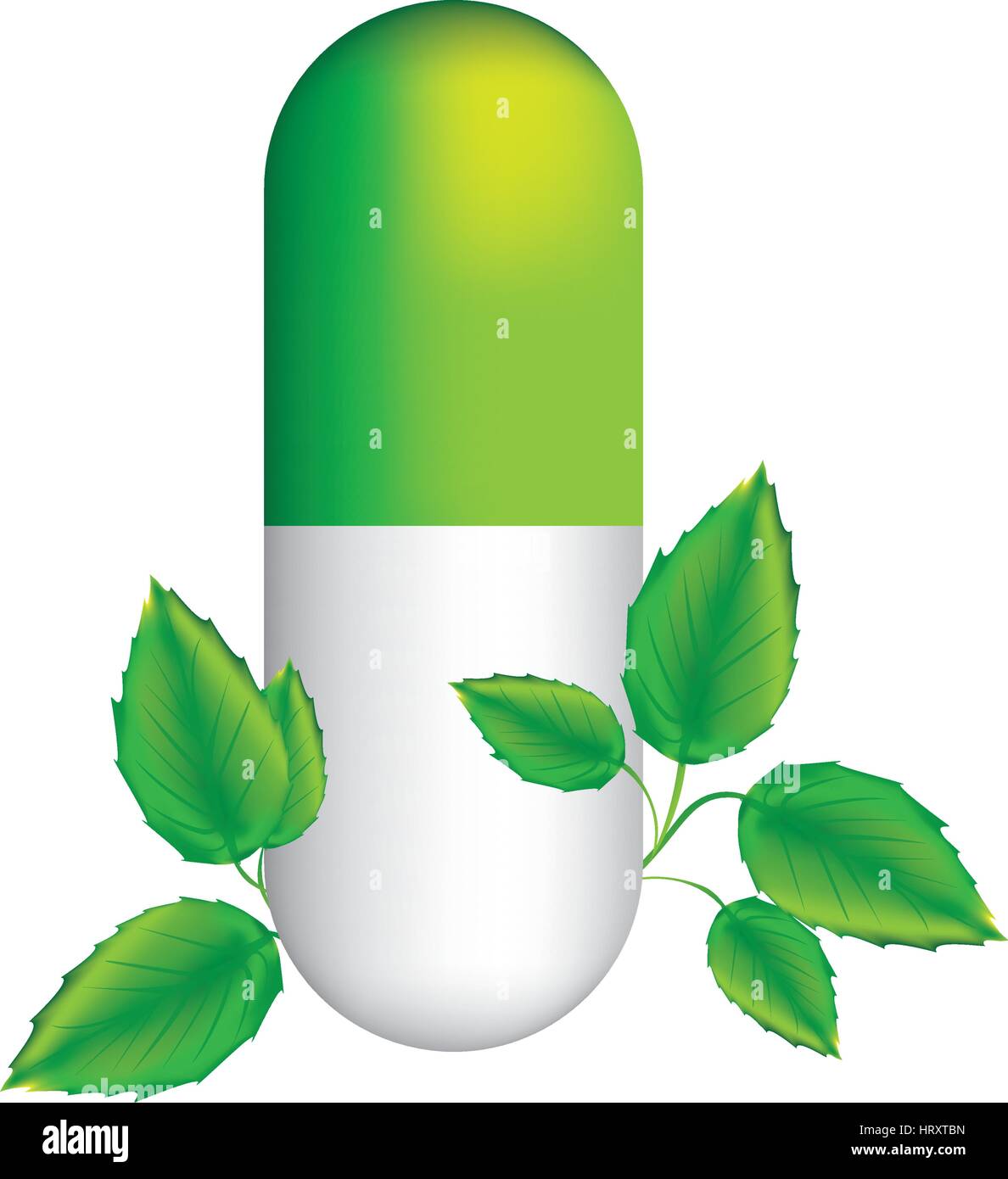 pill medical in capsule shape with decorative leaves Stock Vector Image ...