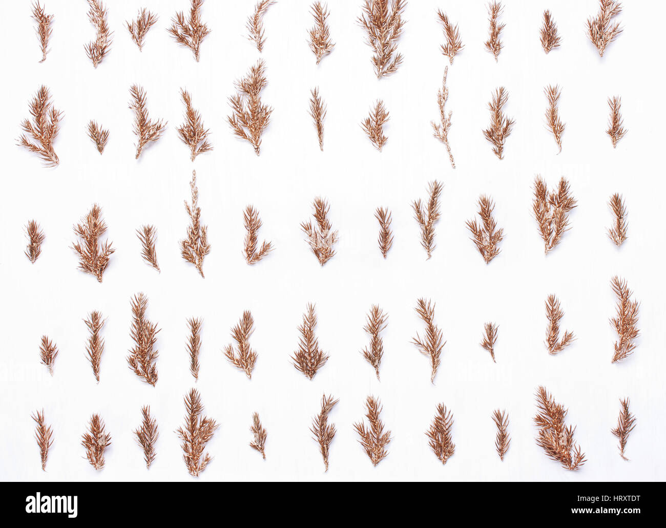 Golden tree branches in a row, christmas festive composition pattern on ...