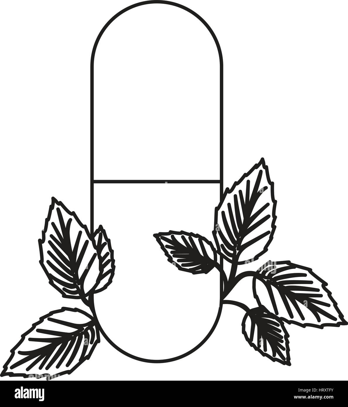silhouette pill medical in capsule shape with decorative leaves Stock ...