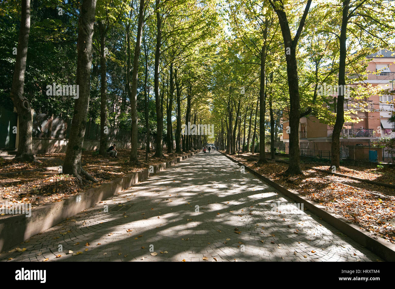 Olmate hi-res stock photography and images - Alamy