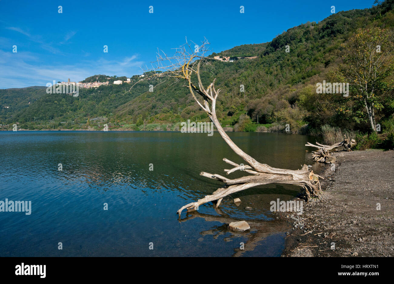 Nemi hi-res stock photography and images - Alamy