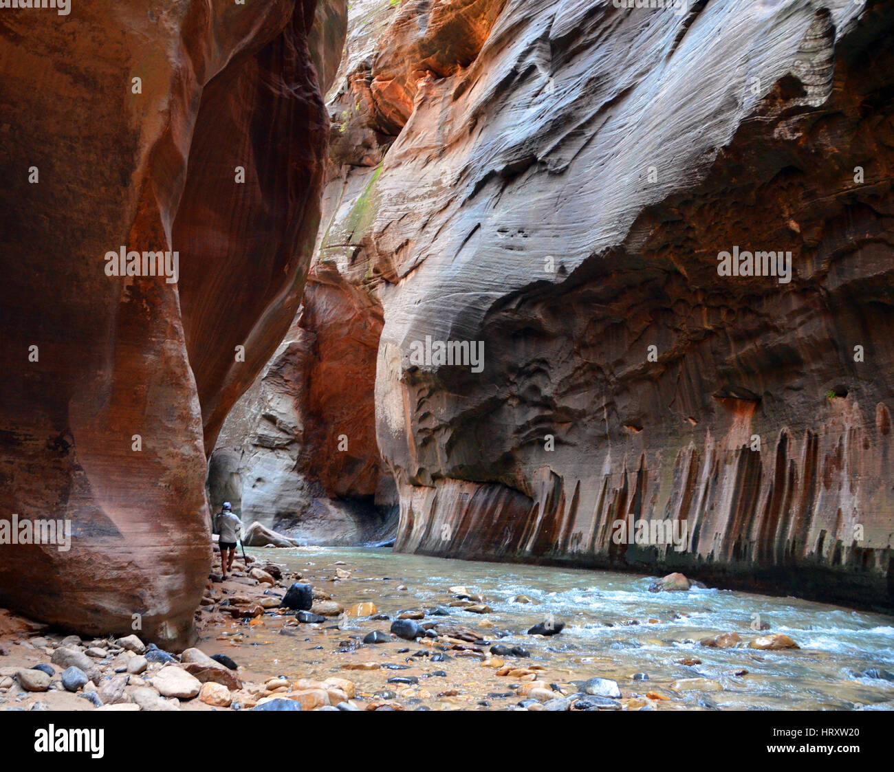 Photographer in the Narrows with Virgin River, Zion National Park, Utah ...