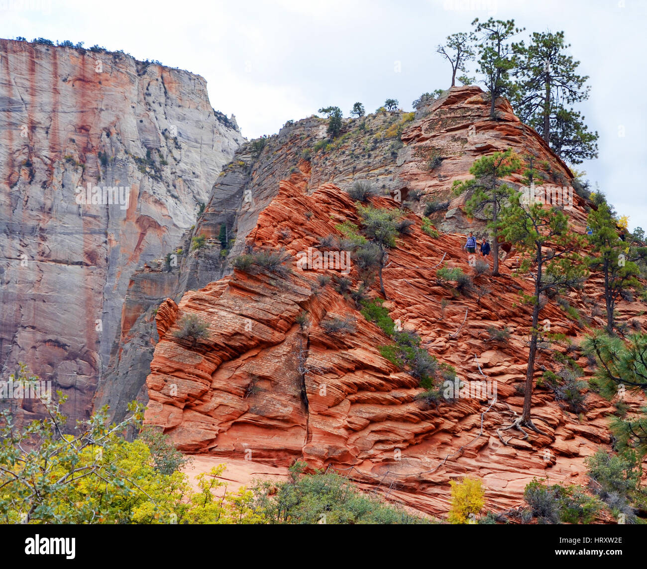 Steep narrow ridge with chains at the last part to the top of Angels ...