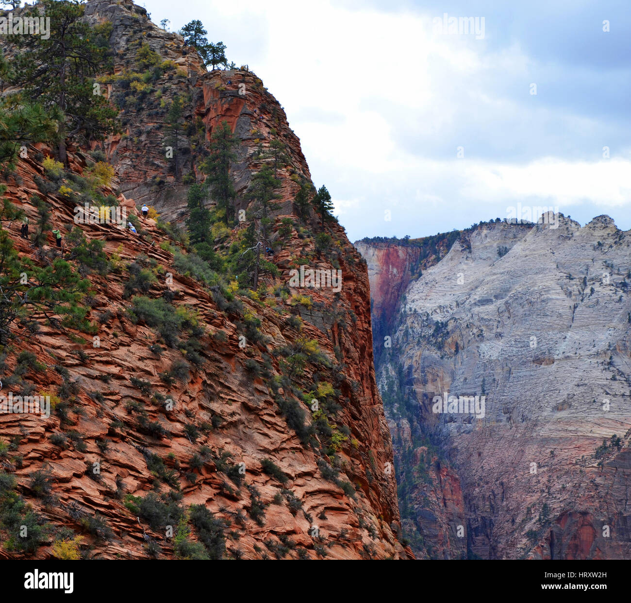 Steep narrow ridge at the last part to the top of Angels Landing, Zion ...