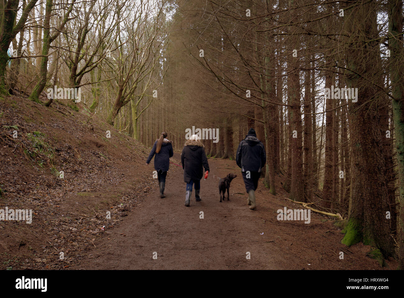 Chatelherault country park autumn hi-res stock photography and images ...