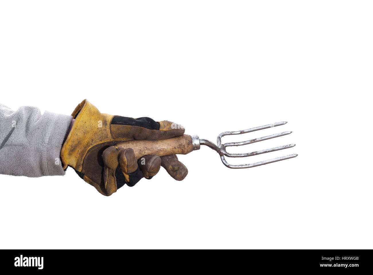 Gardener holding hand fork, against a white background Stock Photo - Alamy