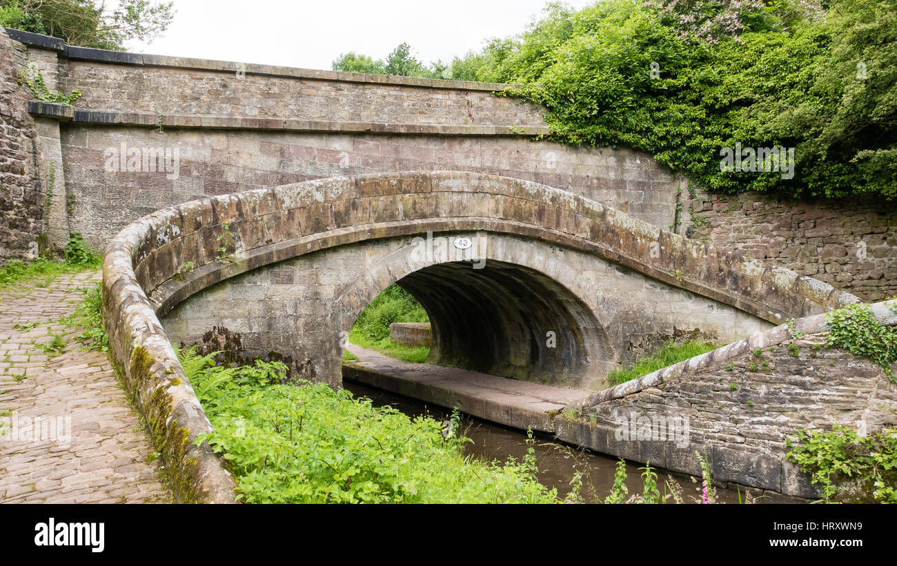 Bridge on the Macclesfield Canal Stock Photo - Alamy