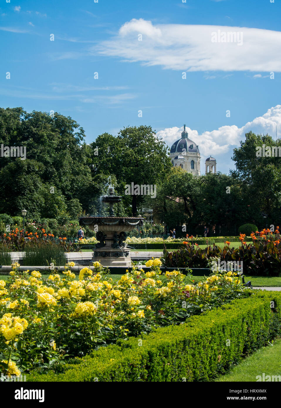 A view of Volksgarten park with flowering yellow and red roses in front ...