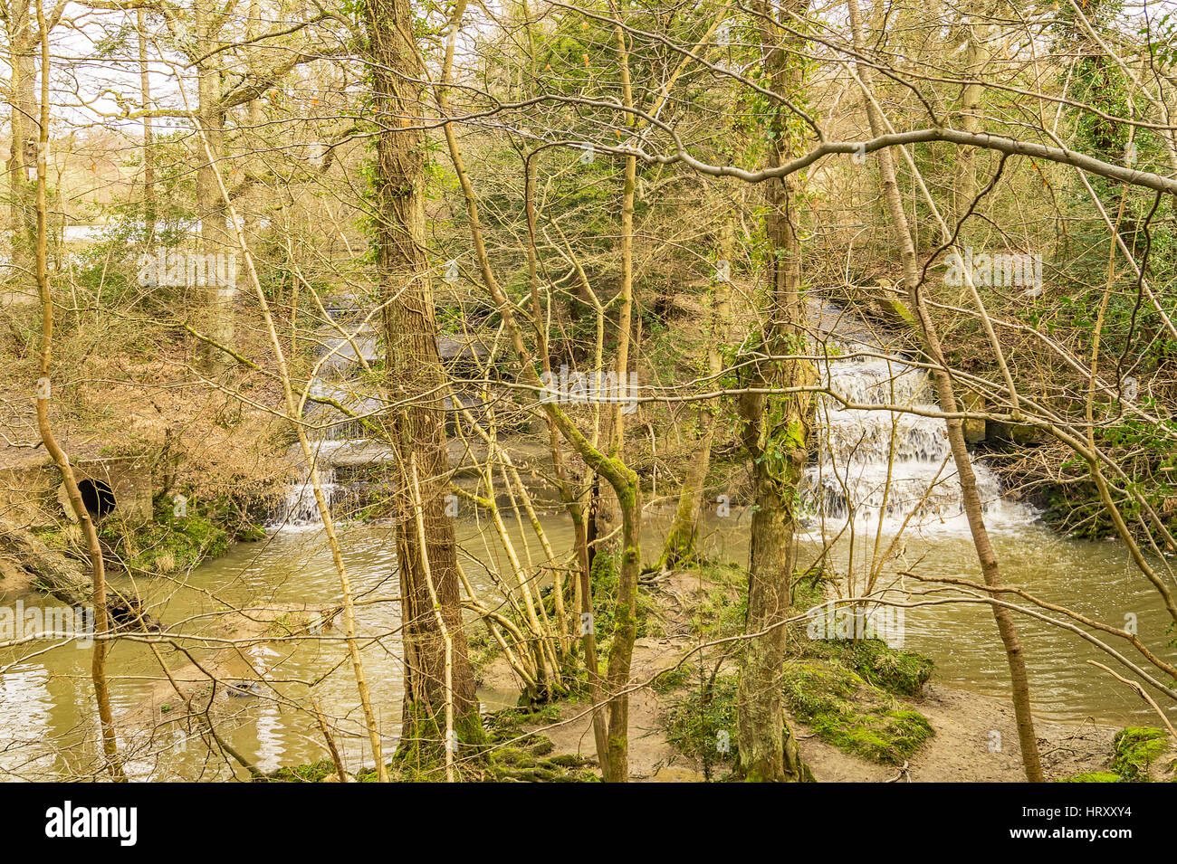 The Lake overflows cascading down the steps Stock Photo - Alamy