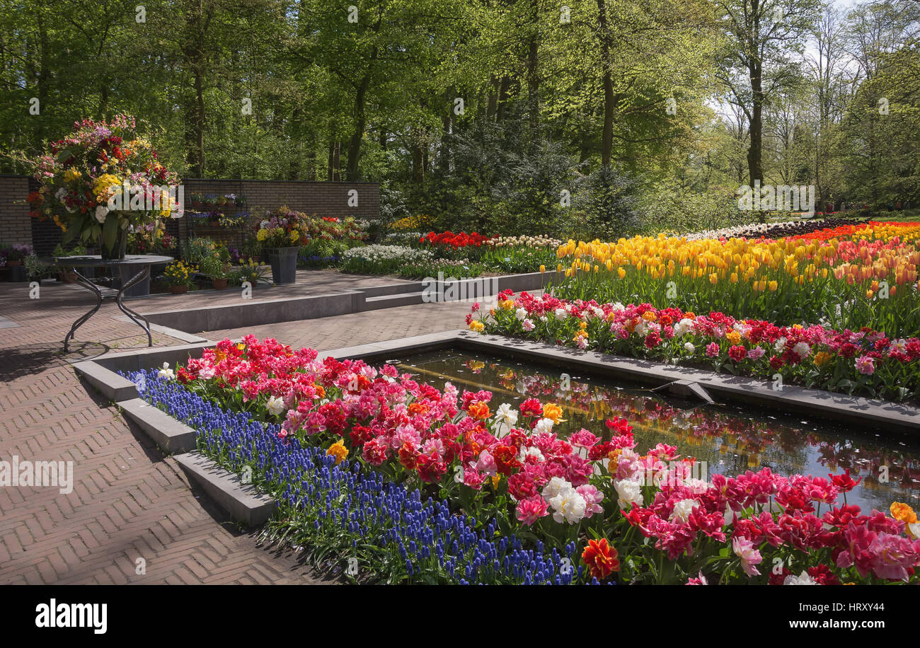 Most Beautiful Images Of Flower Gardens