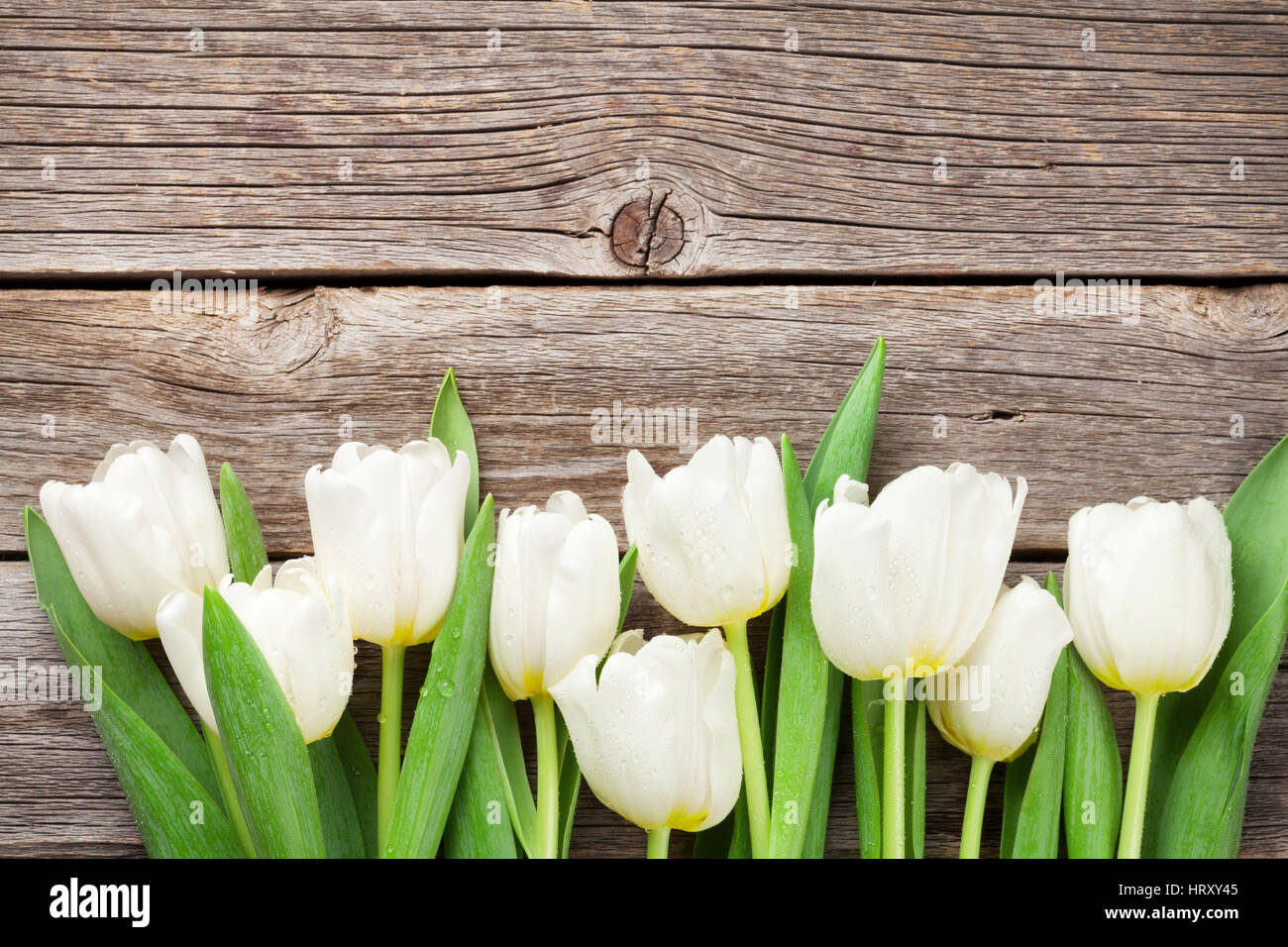White tulips on wooden background. With space for your greetings Stock ...