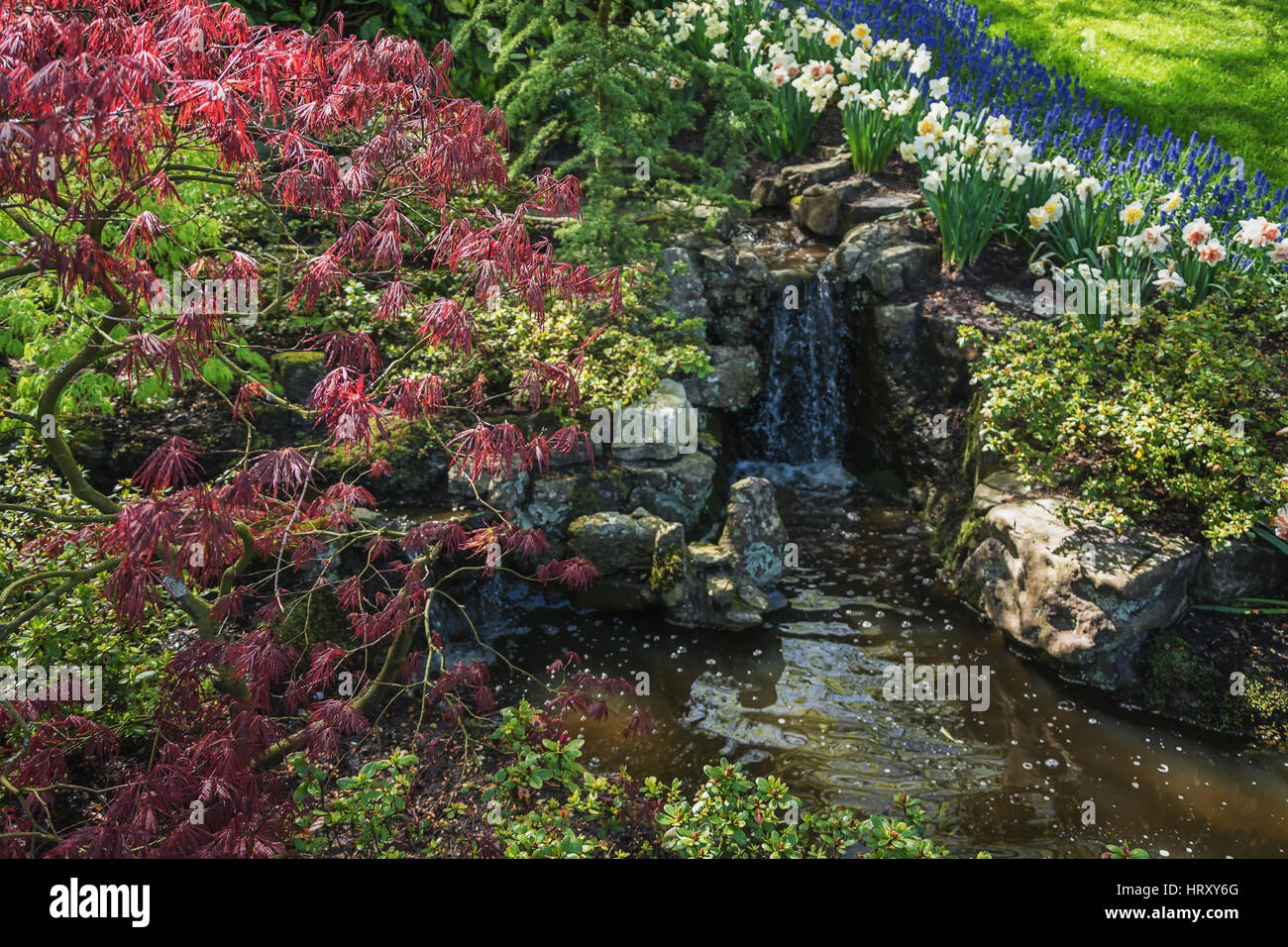 Decorative creek in the park among flowers Stock Photo - Alamy