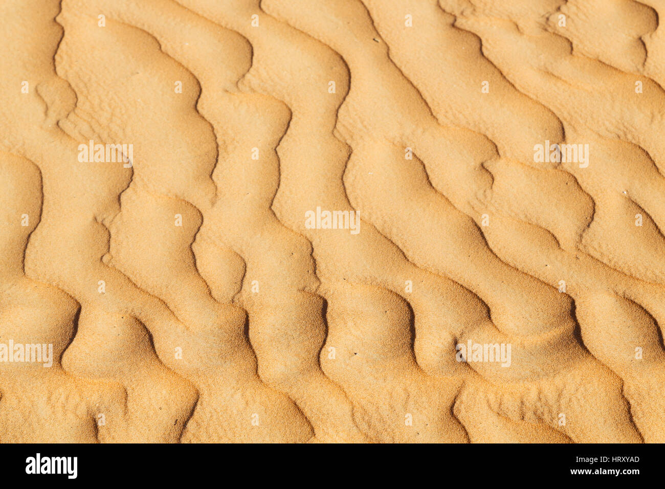 abstract texture line wave in oman the old desert and the empty quarter ...