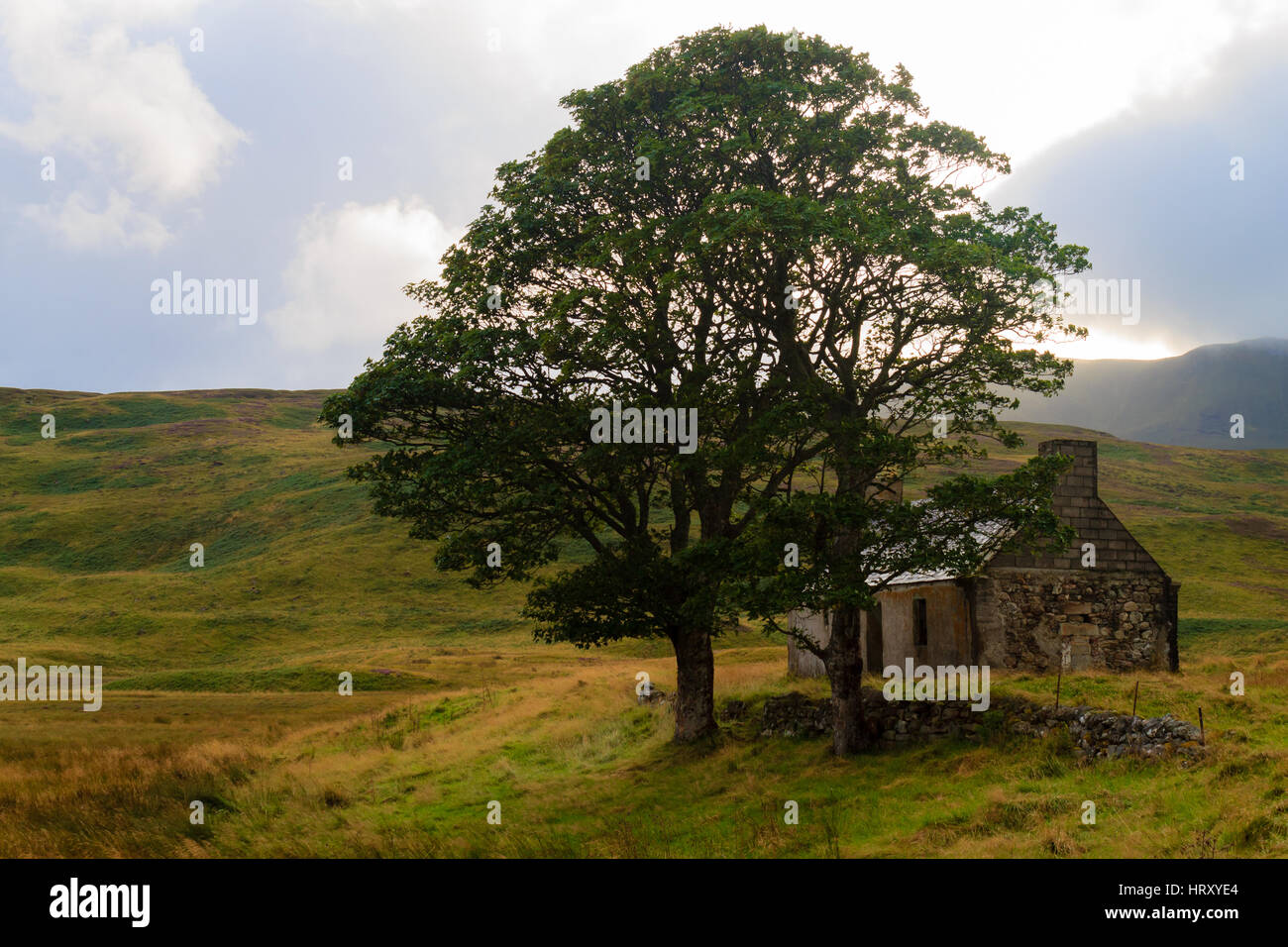 Scottish road trough countryside. Perspective road. Scotland panorama ...
