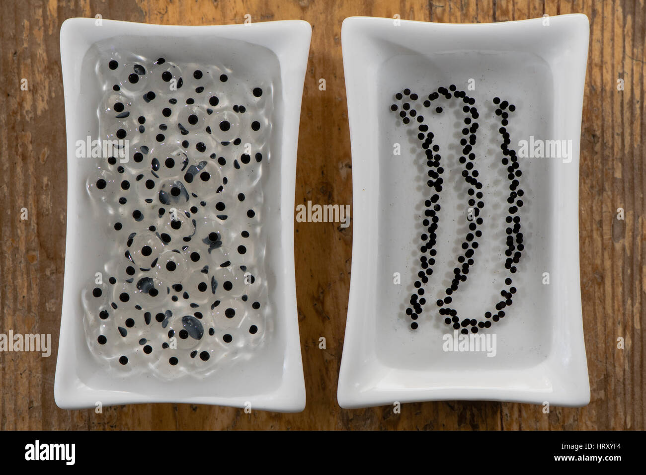 Frog and toad spawn comparison. Eggs of common frog (Rana temporaria) (left) and common toad ...