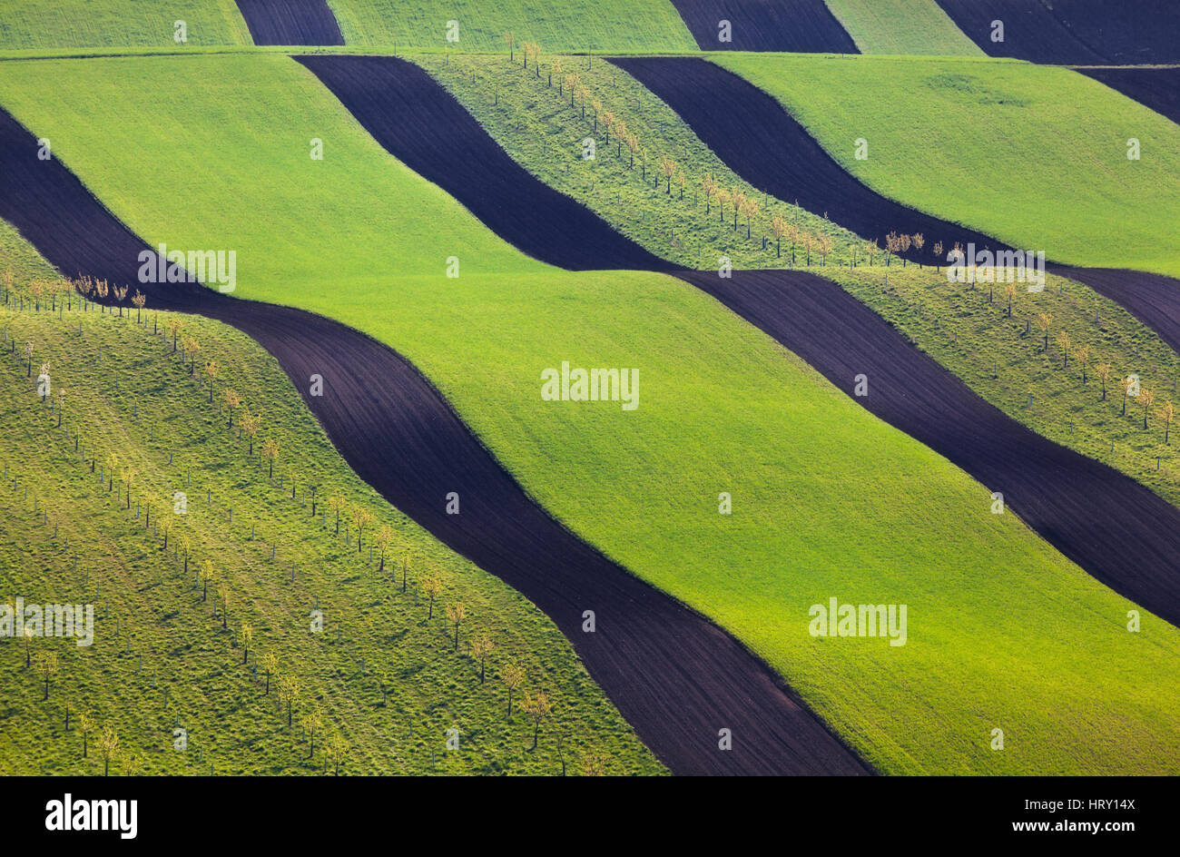 Green fields in nature hi-res stock photography and images - Alamy