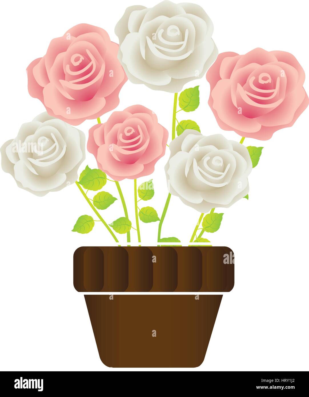 roses in pot with stem and leaves floral design Stock Vector Image ...