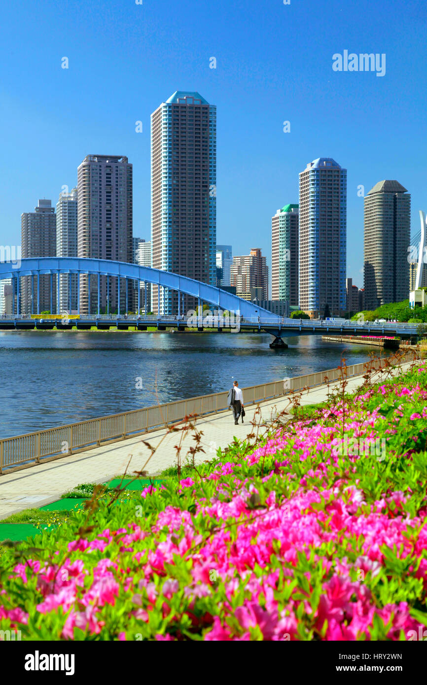 Okawabata river hi-res stock photography and images - Alamy