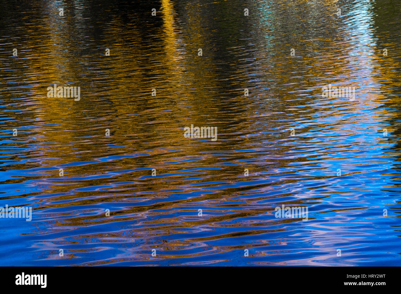Reflections in a pond Stock Photo - Alamy