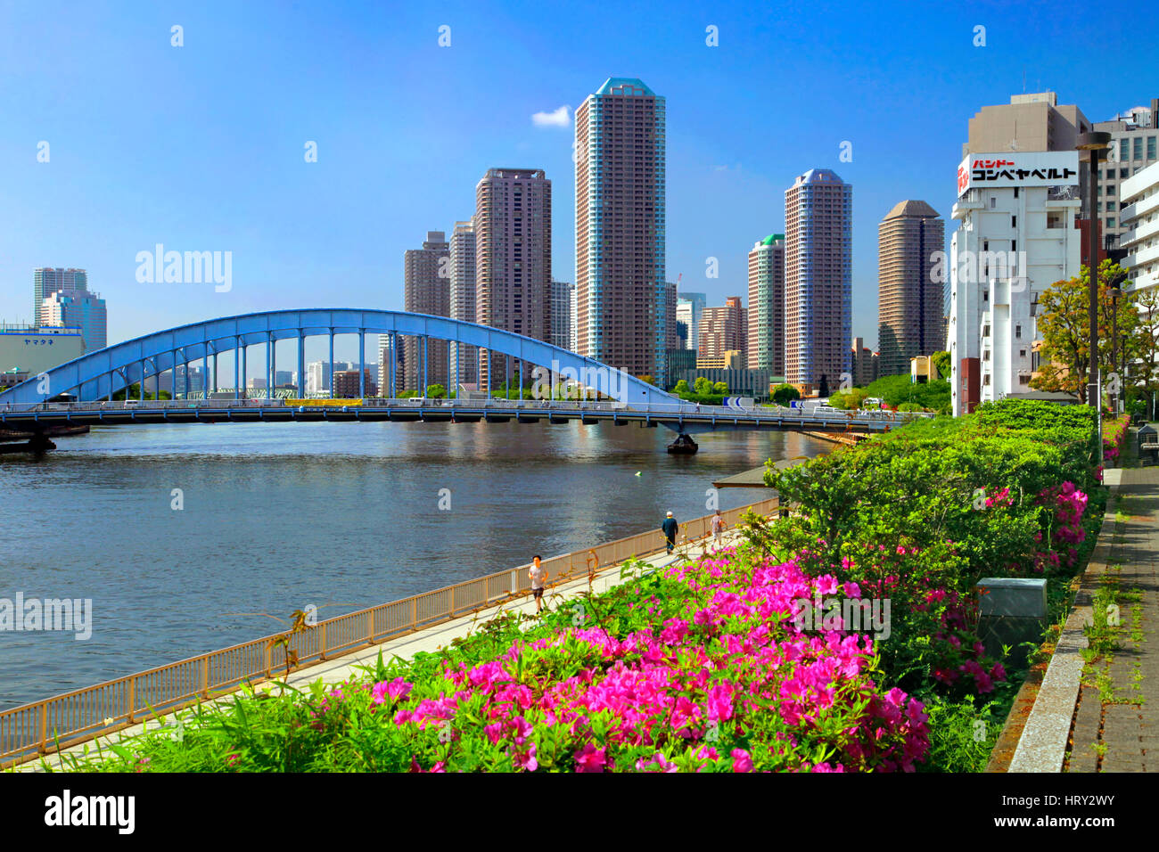 Sumida River | atelier-yuwa.ciao.jp