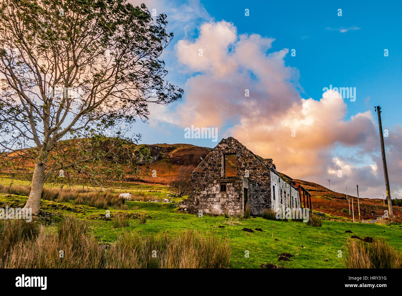 Abandoned farmhouse ruins by Struan Jetty, Isle of Skye, Scotland Stock ...
