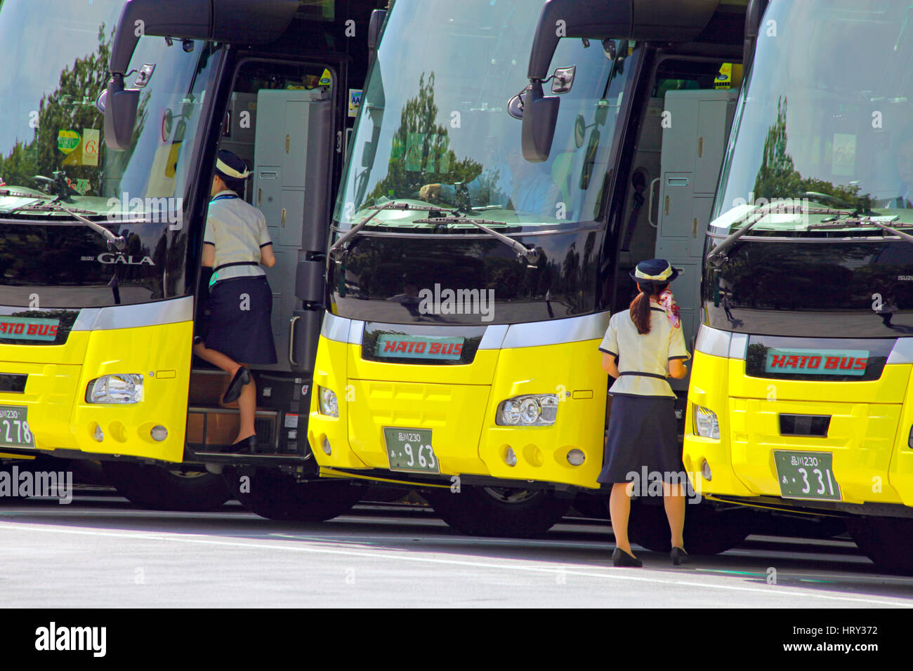Hato Bus Sightseeing Bus Tokyo Japan Stock Photo - Alamy