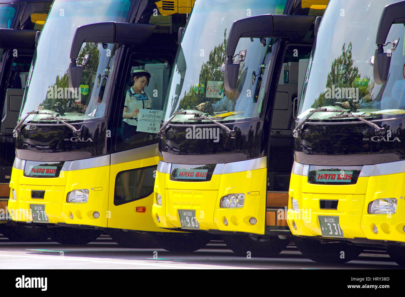 Hato Bus Sightseeing Bus Tokyo Japan Stock Photo - Alamy