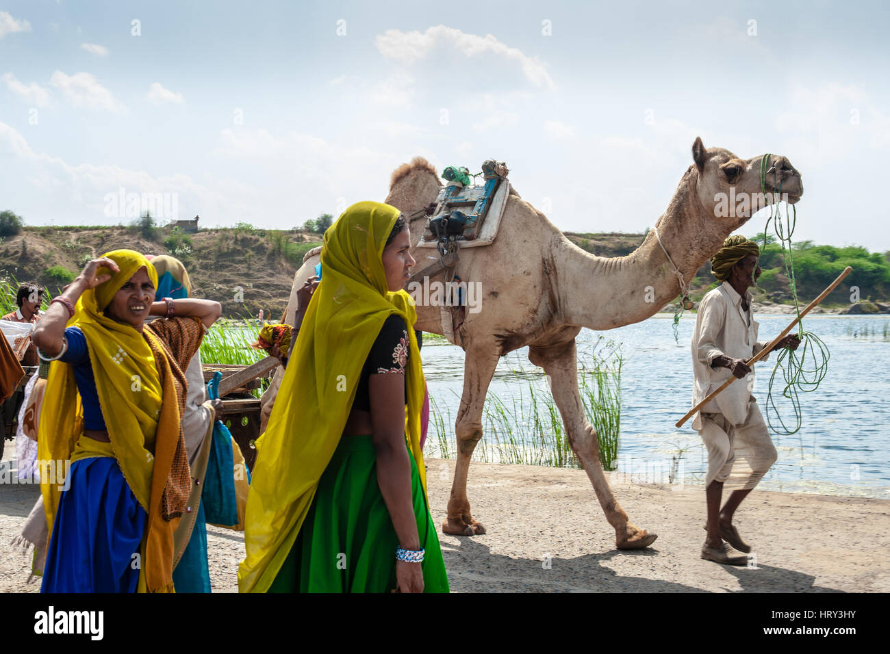 A camel and it's herder cross in front of two brightly adorned woman at ...